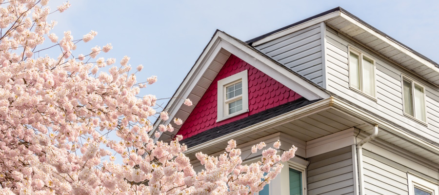 The Benefits of Regular Spring Roof Inspections - 3d Home Inspector ...